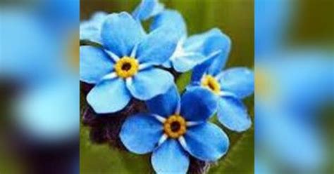 Alice Carter Orme Obituary Visitation And Funeral Information