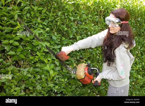 A Woman Using A Hedgetrimmer To Cut A Hedge Stock Photo Alamy