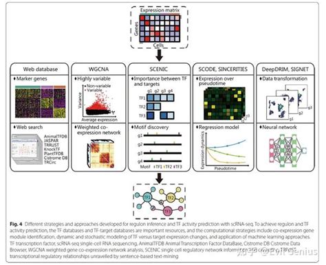 生物医学研究和临床应用中单细胞rna Seq数据分析指南 知乎