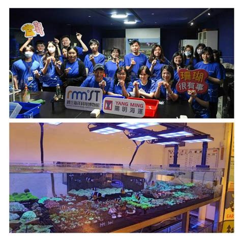 陽明守護生物多樣性 船舶減速護藍鯨、復育珊瑚 財經 工商