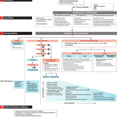 Clinical Application Of The I Aim Framework For Lung Ultrasound Abg