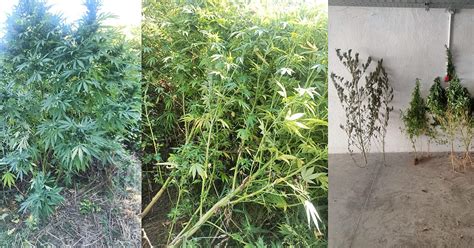 ΓΝΩΜΗ ΚΙΛΚΙΣ ΠΑΙΟΝΙΑΣ Αστυνομικό δελτίο Κεντρικής Μακεδονίας Τρίτη 14 9 2022 03 42 μ μ