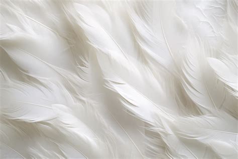 Feather Texture Graphic By Forhadx5 · Creative Fabrica