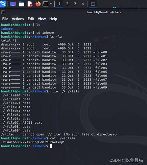 新手入门渗透必刷靶场（overthewirebandit系列0~11关） Csdn博客