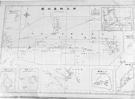 塵封70年 台大密克羅尼西亞407份模式標本現身 環境資訊中心