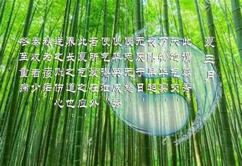 太极课程 深圳太极拳培训广州太极拳培训原汁原味陈式太极拳陈正雷大师传承