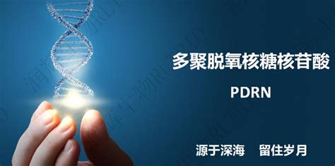 Pdrn Dna Chemicalbook