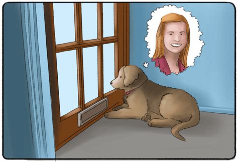 Object Permanence Definition Examples Practical Psychology