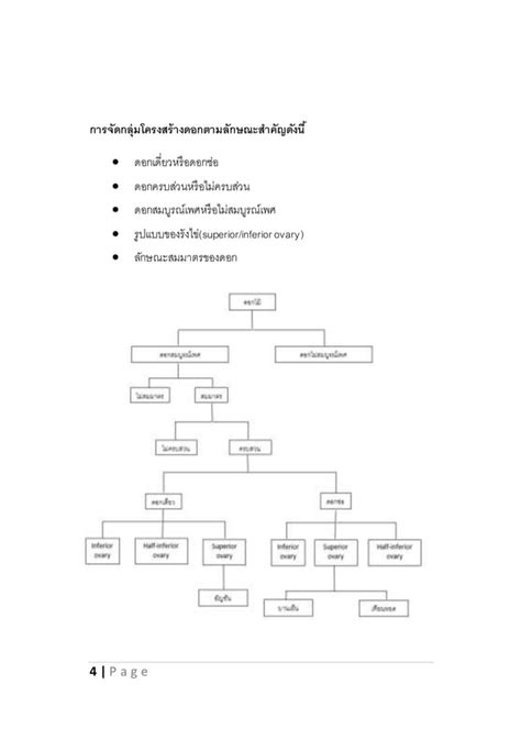 การศึกษาโครงสร้างดอกอัญชัน บานเย็น เทียนหยด ม5 ห้อง 656 กลุ่มที่ 8