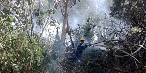 Ideam Emitió Alerta Roja Y Naranja Ante Probabilidad De Incendios