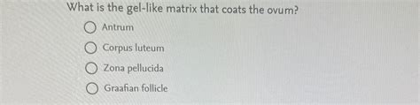 Solved What Is The Gel Like Matrix That Coats The