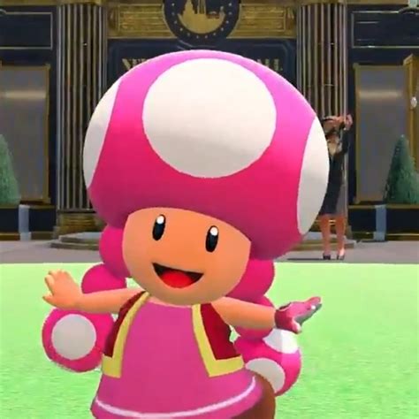 Toadette Super Mario Fanart Model Cetak 3d In Patung 45 Off