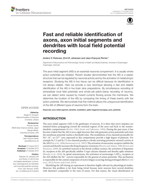 PDF Fast And Reliable Identification Of Axons Axon Initial Segments And Dendrites With Local