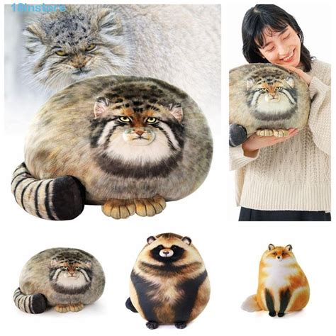 Instore Steppe Cat Stuffed Toy Pallas Cat Plush Pallas Cat Plush Doll