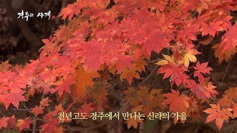 The Fall Foliage Of Gyeongju City Golden City Gyeongju