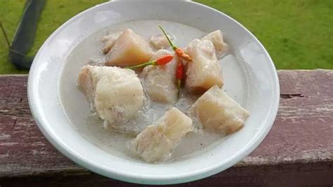 Umbut Kelapa Sayur Langka Yang Menari Di Lidah Klik Hijau