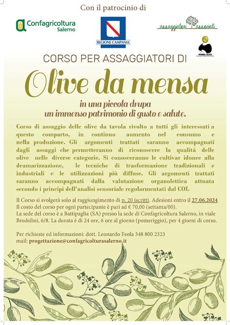 Corso Per Assaggiatori Di Olive Da Mensa Assaggiatori Associati
