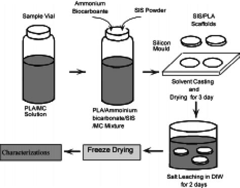 Schematic Diagram Of The Solvent Casting Salt Leaching Method To