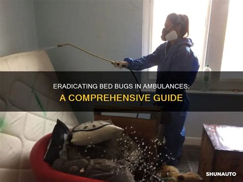 Eradicating Bed Bugs In Ambulances A Comprehensive Guide Shunauto
