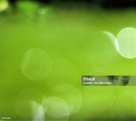 와 같은 다양 한 배경 용암 바위 벽에 이끼 풀 잎에이 슬 방울 이끼 가까이의 클로즈업을 석양 모래 잎 잔디 W 아침 빛 화산 암 모스 벽 비 자동차 창에 드랍 스와 화산