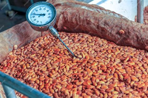Premium Photo Workers Use To Measure The Temperature Of The Fermented