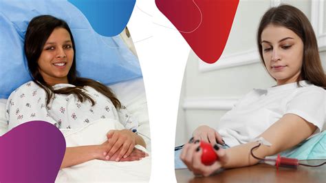 Nhs Blood And Transplant Exploring Blood Organ And Stem Cell Donation