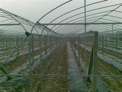 湖南简易连体大棚搭建公司湖南三农生态农业科技开发有限公司单体大棚