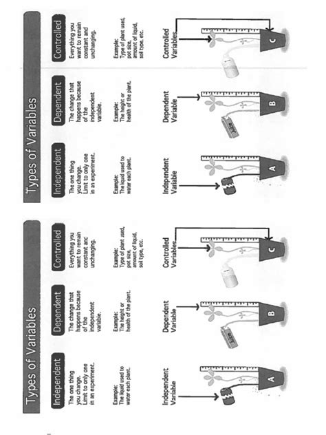 Variable Practice Pdf