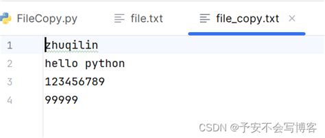 Python Csdn