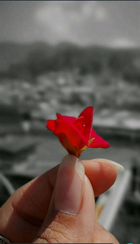 Valentinesdays Linkedin Post Sponsored Advertisement Sai