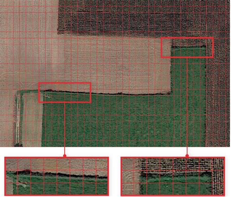 Figure From Context Self Contrastive Pretraining For Crop Type Semantic Segmentation