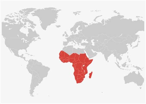 Africa On World Map Verjaardag Vrouw 2020
