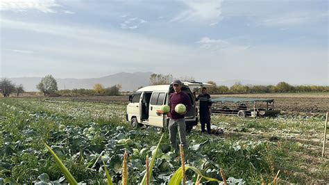 Earth Responsible Agriculture Uzbek Farmers Lead In Land Restoration
