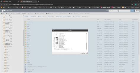 10만여개 성 영상물 유포…성착취물 사이트 운영한 20대 한국인 검거