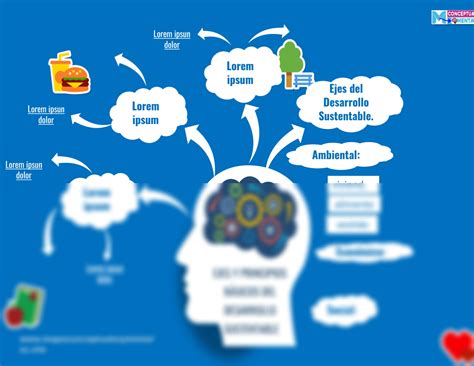 SOLUTION Ejes Y Principios Basicos De Desarrollo Sustentable Studypool