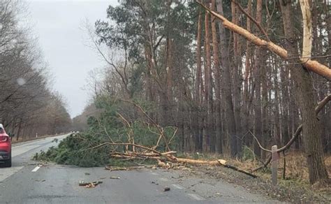 Wichury nad Polską Jak zachować się na drodze gdy wieje silny wiatr