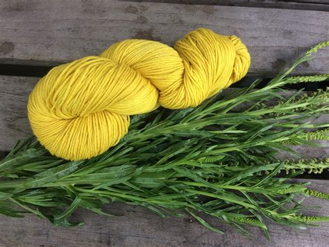 Wool Tribulations Of Hand Spinning And Herbal Dyeing