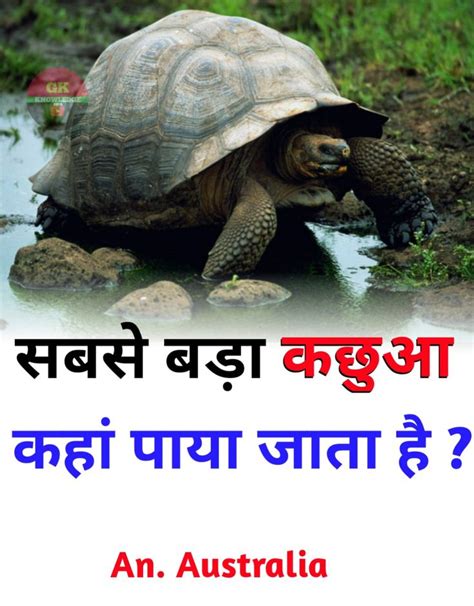 Gk Questions In Hindi सबसे बड़ा कछुआ कहां पाया जाता है Gk Question In