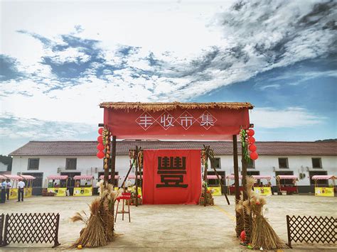 每一个乡村都是新的课题和挑战浮梁县文化艺术