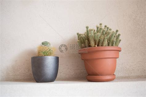 放在罐子里的风水架高清图片下载 正版图片503973641 摄图网