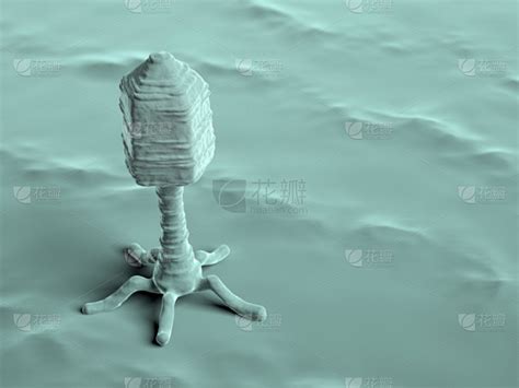 病毒 噬菌体 大规模的放大 受害者 寄生的 瘟疫 人体细胞 水平画幅 蓝色 科学