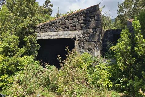 Large Private Forest By The Sea On Pico Island Azores Properties