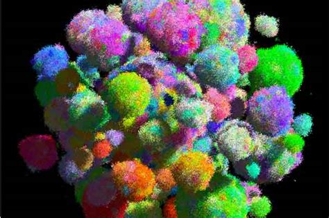 A Fuller Picture Of Cancer Harvard Gazette