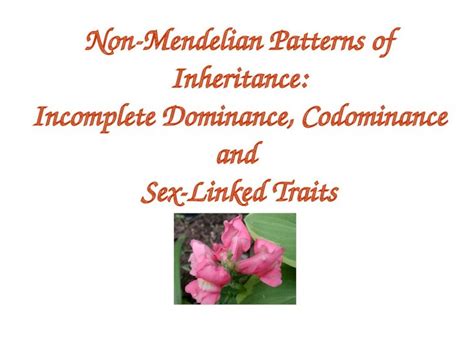 Pptx 1 Non Mendelian Patterns Of Inheritance Incomplete Dominance