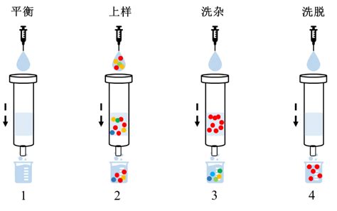 干货 基因功能研究之蛋白酶活催化实验