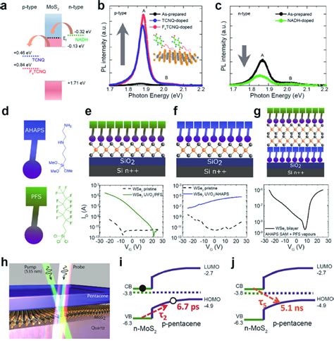 Noncovalent Functionalization Of 2d Tmds Through Chemical Doping And