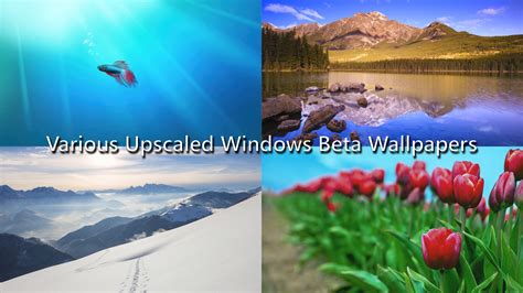 Various Upscaled Windows Beta Wallpapers By Gtagame On Deviantart
