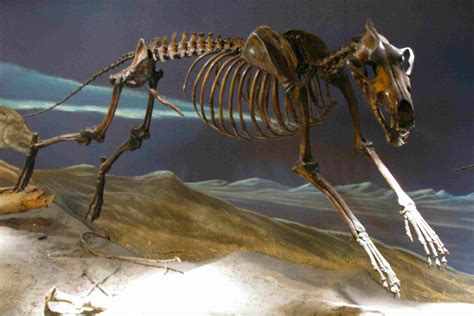 Wie Das Prähistorische Leben Im Golden State War