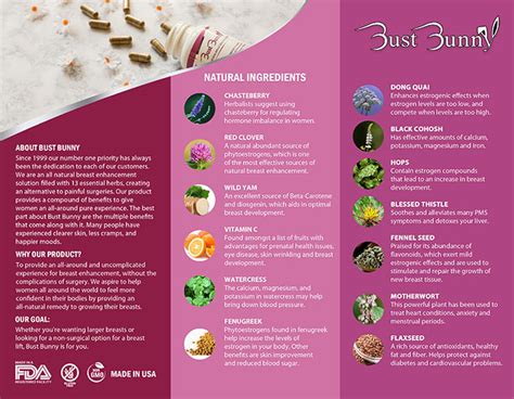 Estrogen Rich Food For Breast Enlargement 10 Breast Firming Foods For