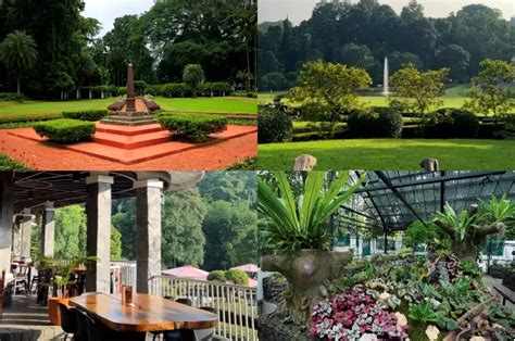 Di Kebun Raya Bogor Ada Apa Saja Berikut Daya Tarik Rute Lokasi Dan